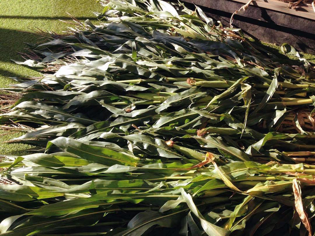 Corn - Freak Fabrique